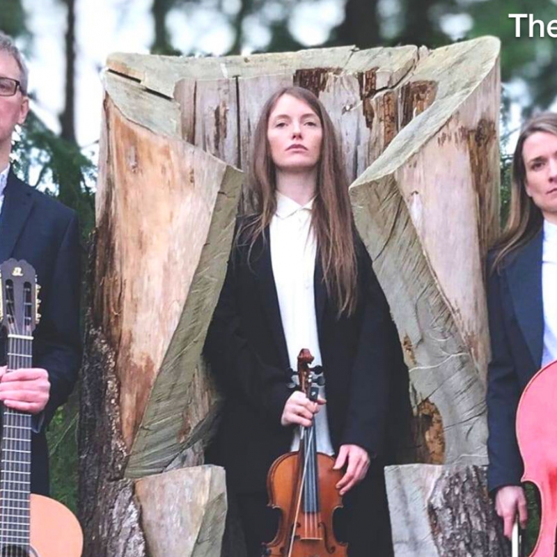 Fresh Faves | Fresh On The Net